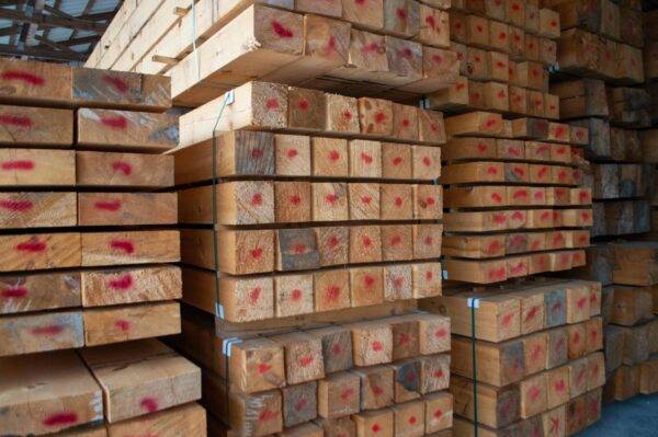 8x8 Eastern White Pine Lumber Yard in Missouri & Tennessee | Timber ...